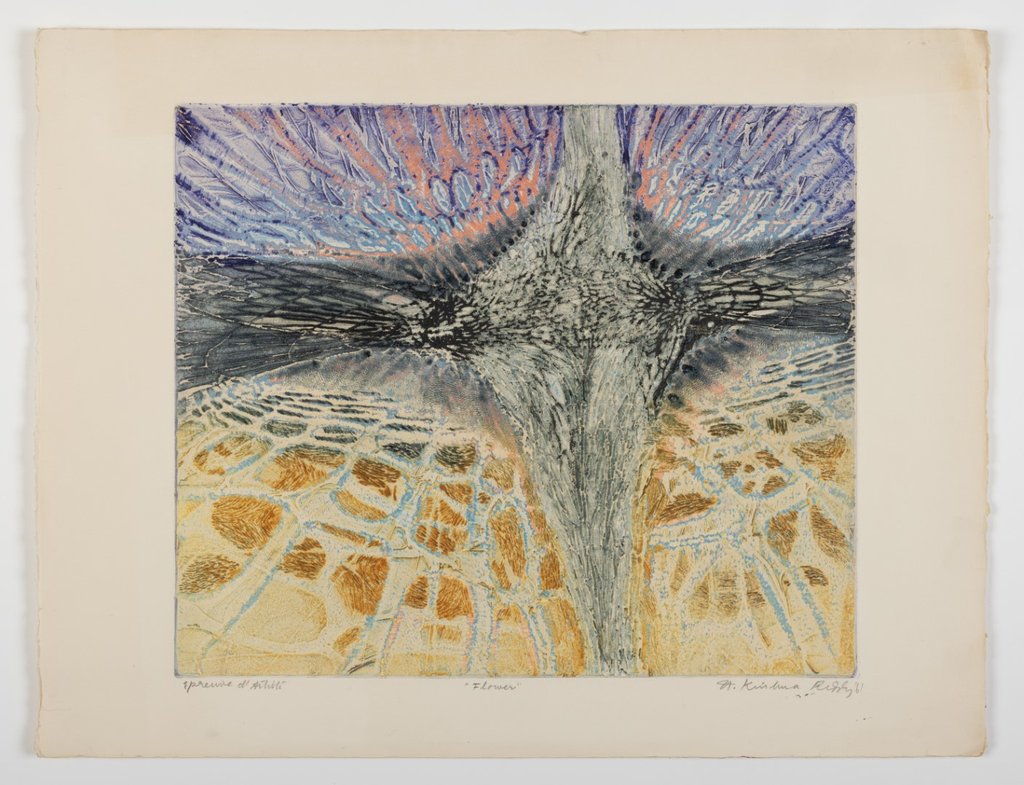 Krishna Reddy • 35 GB